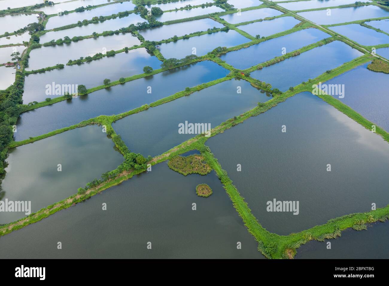 Aerial view Fish hatchery pond Stock Photo - Alamy