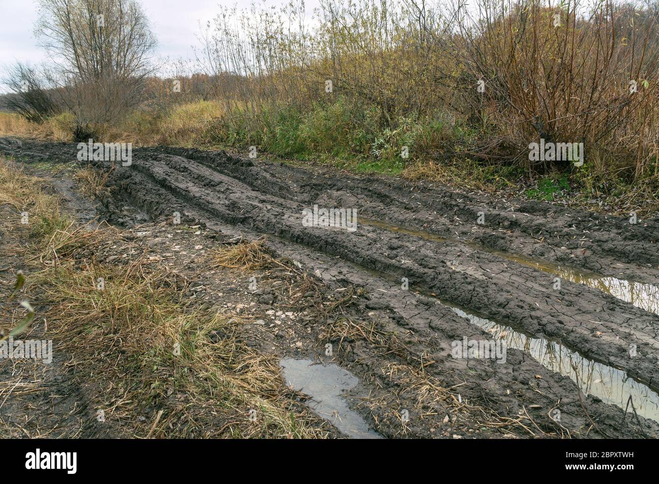 An impassable road, off-road track in autumn forest. Deep ruts in the ...