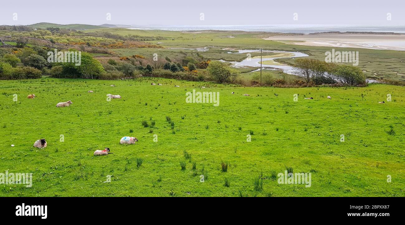 idyllic coastal scenery around Sky Road in Connemara, a region in ...