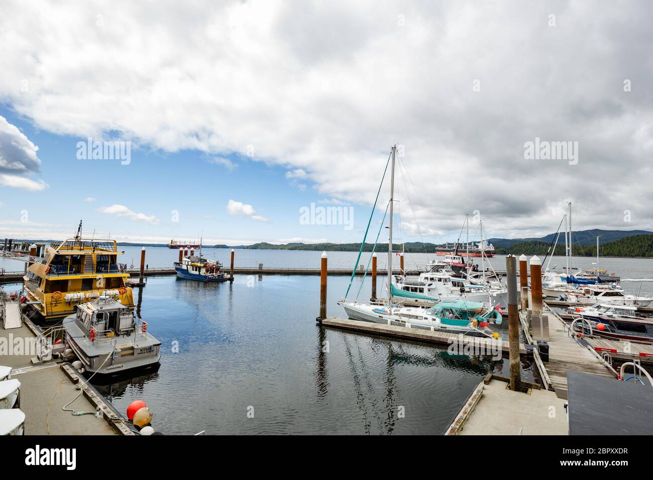 Cow bay hi-res stock photography and images - Alamy