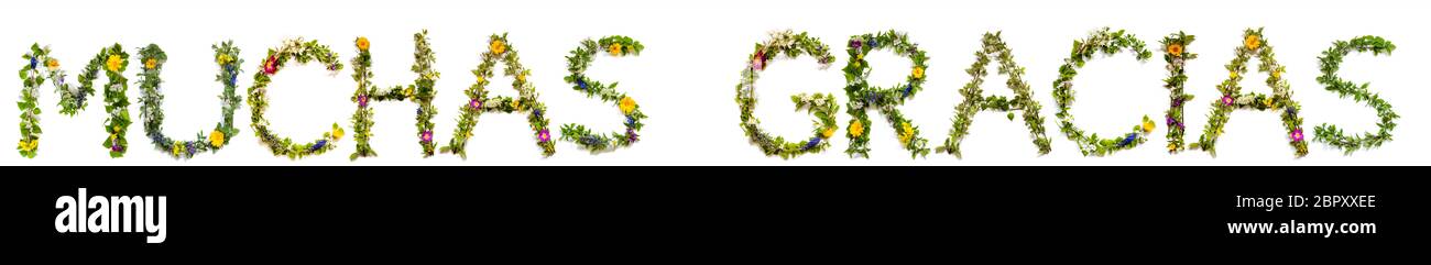 Flower And Blossom Letter Building Word Muchas Gracias Means Thank You Stock Photo Alamy flower-and-blossom-letter-building-word-muchas-gracias-means-thank-you-stock-photo-alamy