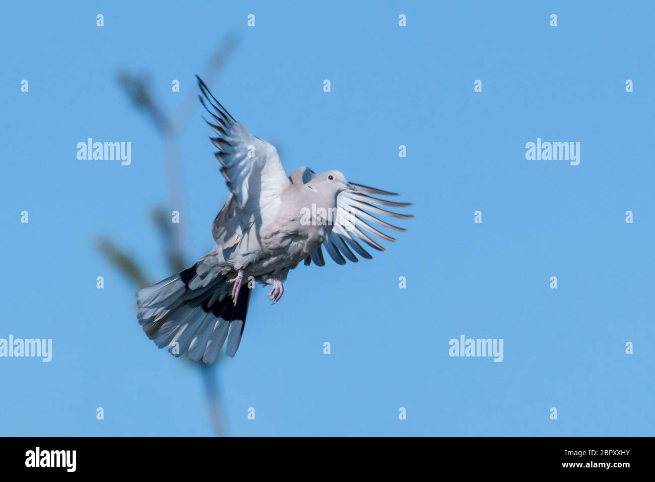 Disheveled sky hi-res stock photography and images - Alamy