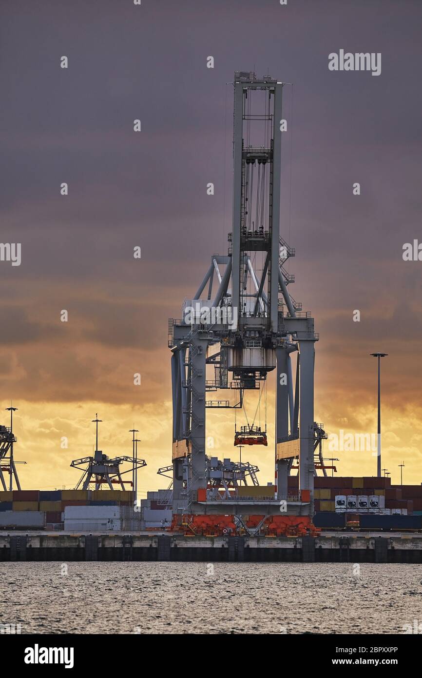 Cranes of a container shipping terminal Stock Photo - Alamy