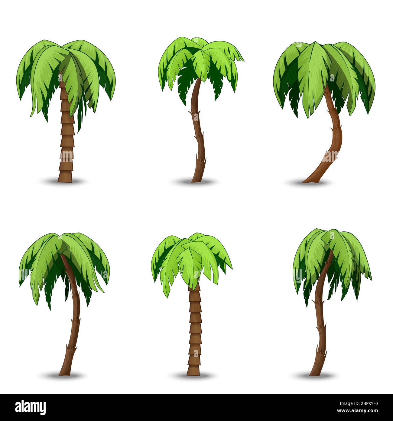 Palm trees clip art set. Vector illustration isolated on white ...