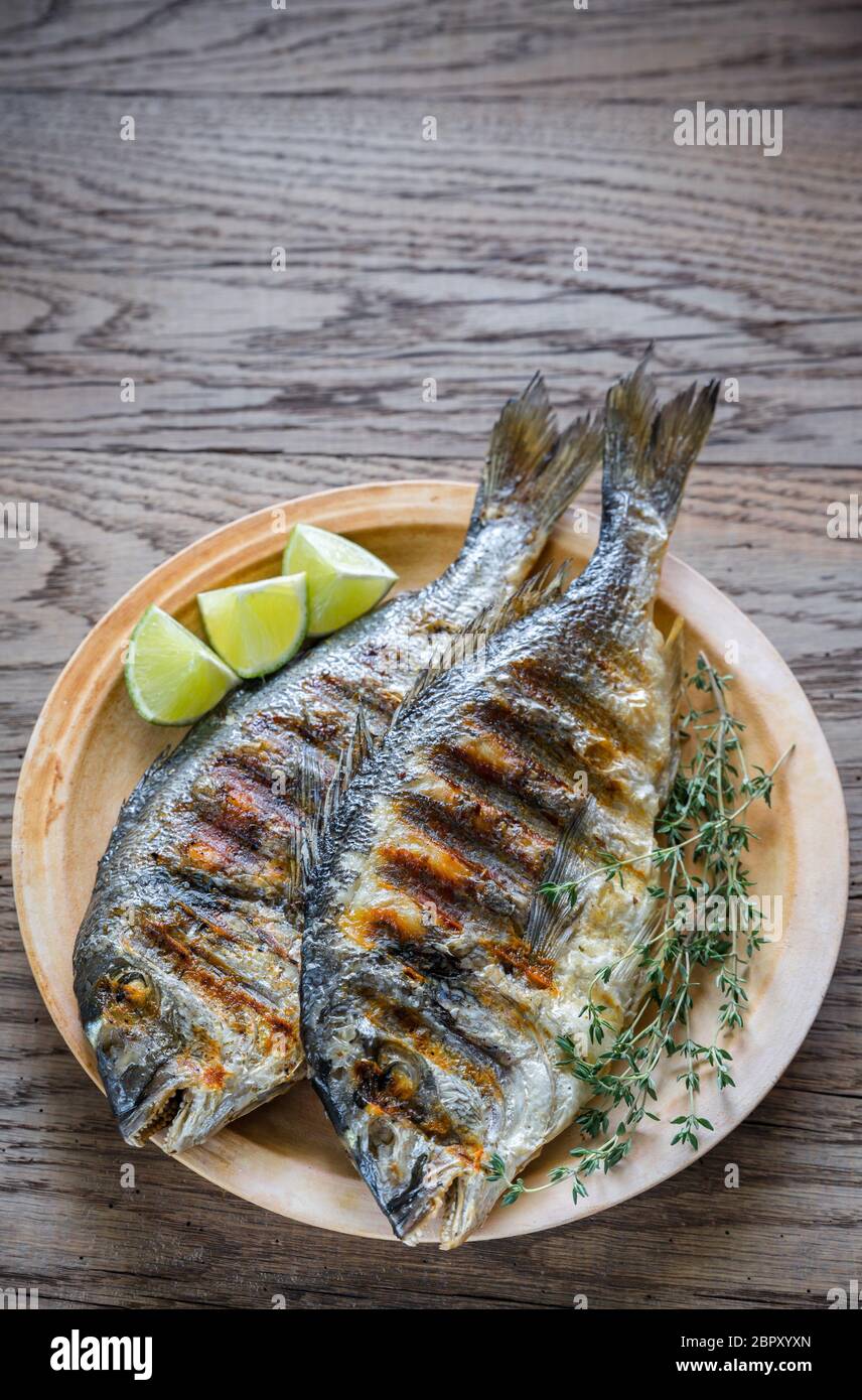 Dorade Royale Fish Stock Photo - Alamy