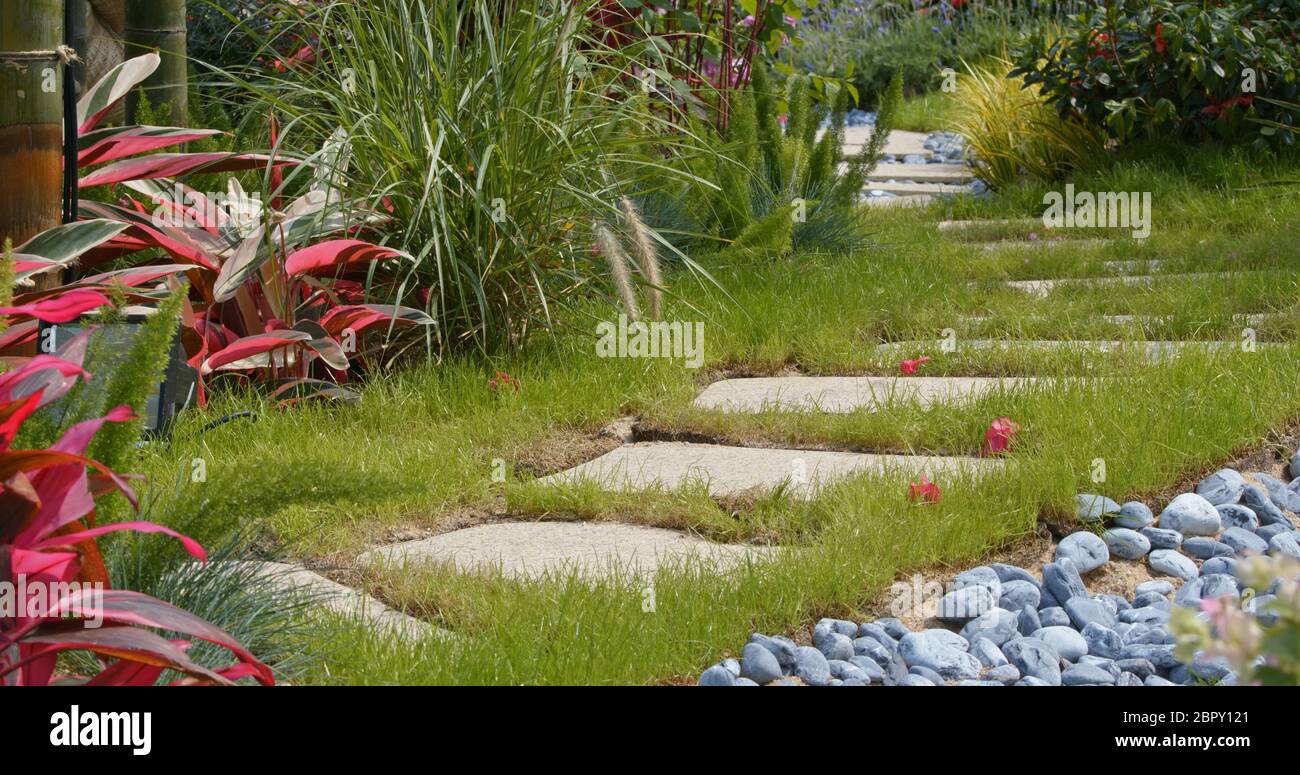 Green walking path in the park Stock Photo - Alamy