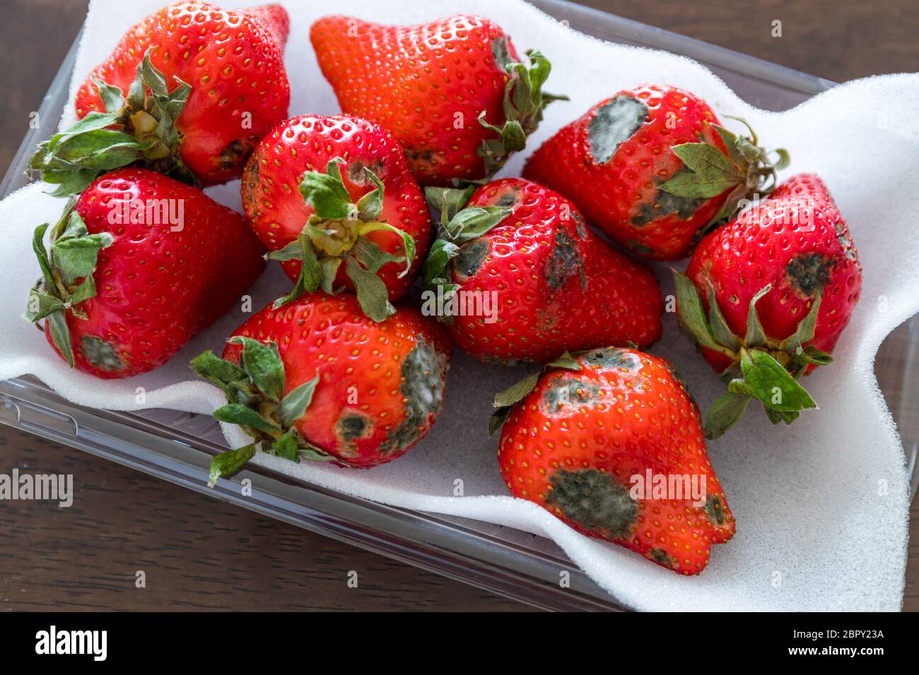 Mold on strawberries Stock Photo - Alamy