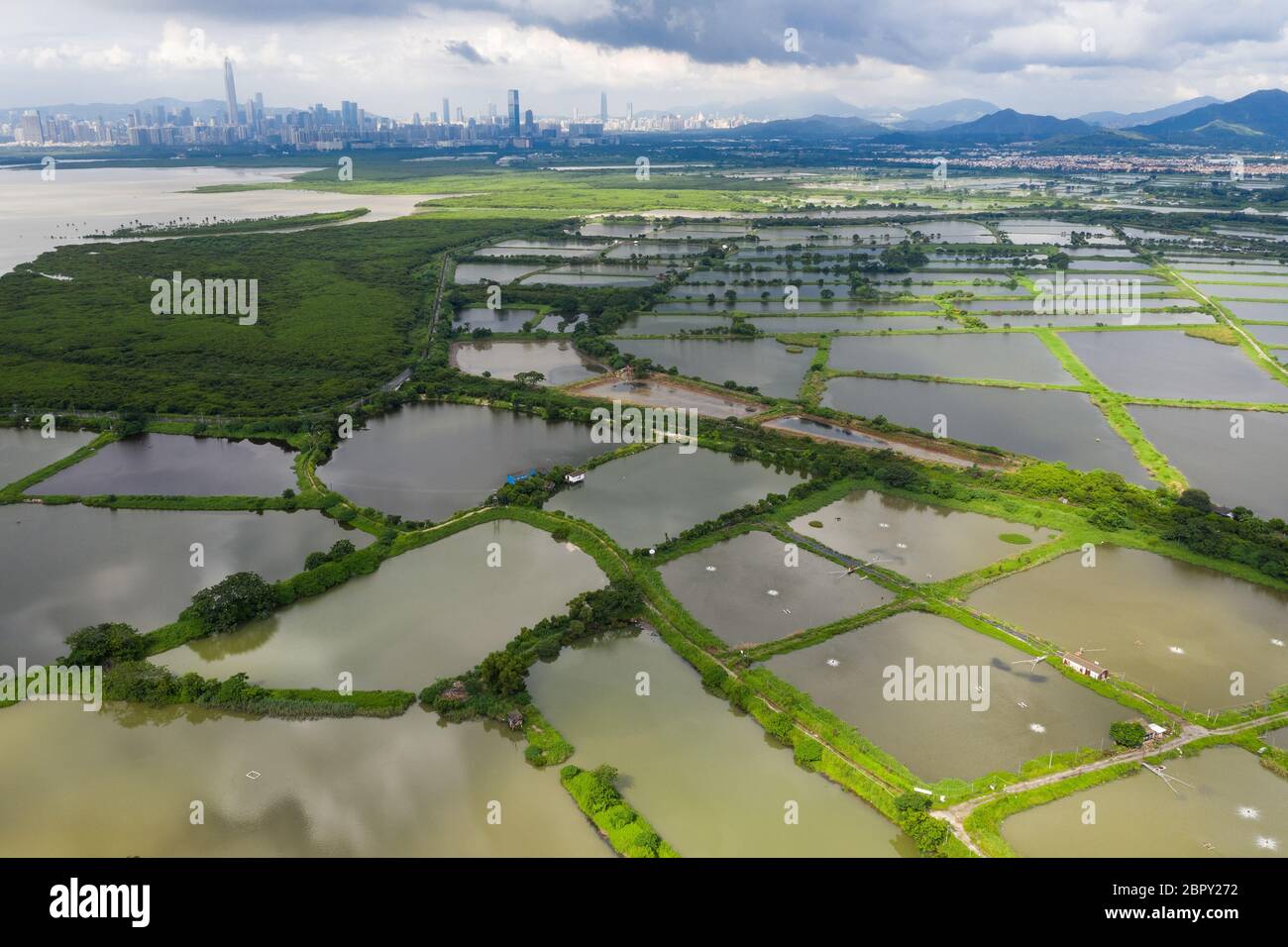 Fishes hatchery hi-res stock photography and images - Alamy