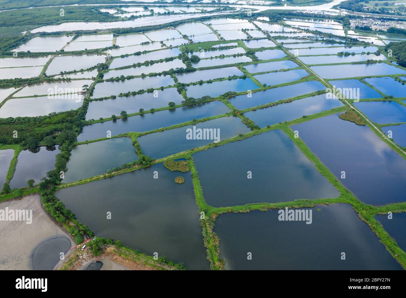 Fish farm pond hong kong hi-res stock photography and images - Alamy