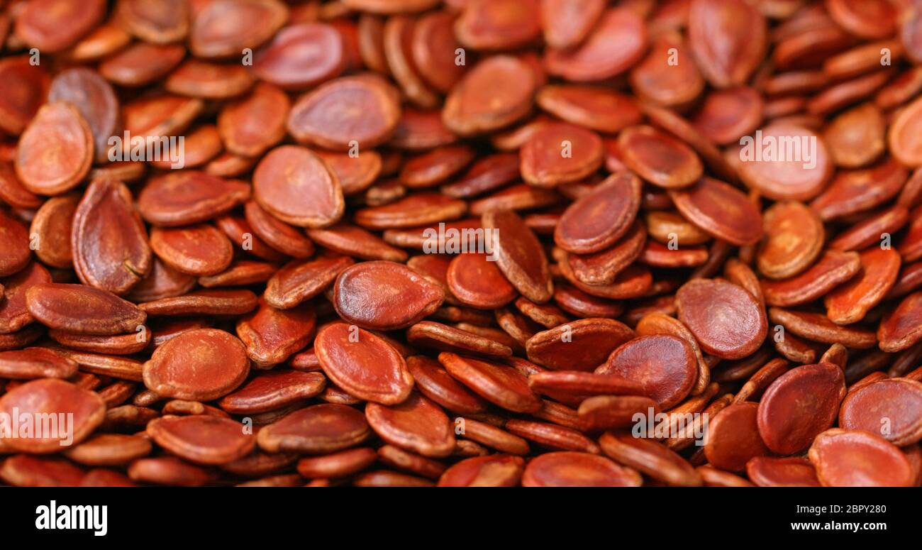 Watermelon Seed Edible at Amelie Woolley blog