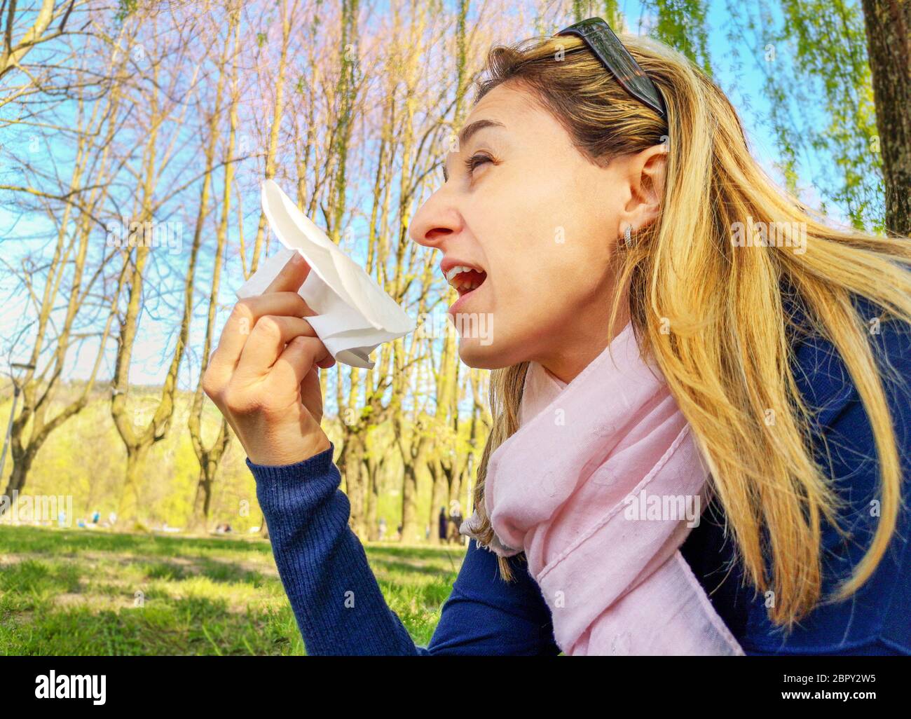 sneeze allergic hay fever pollen allergy blowing nose springtime Stock ...