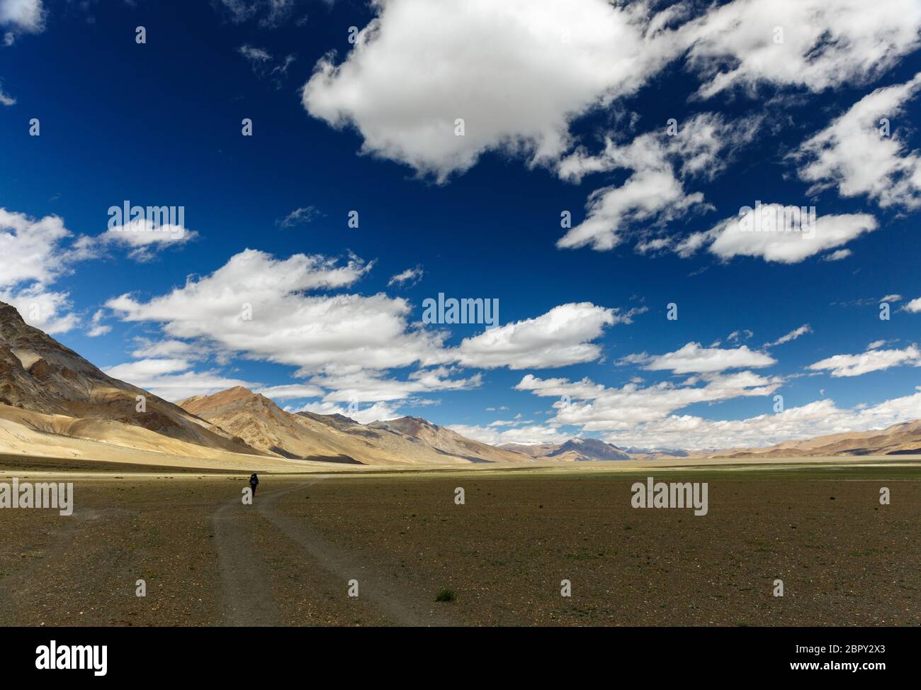 Trekking in higher trans Himalayas, India Stock Photo - Alamy