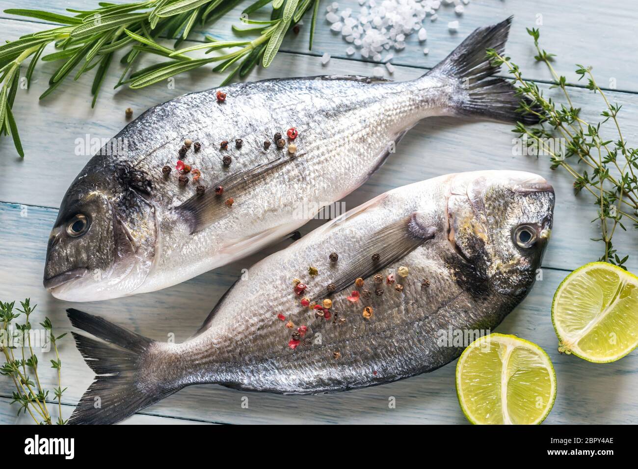 Dorade Royale Fish Stock Photo - Alamy