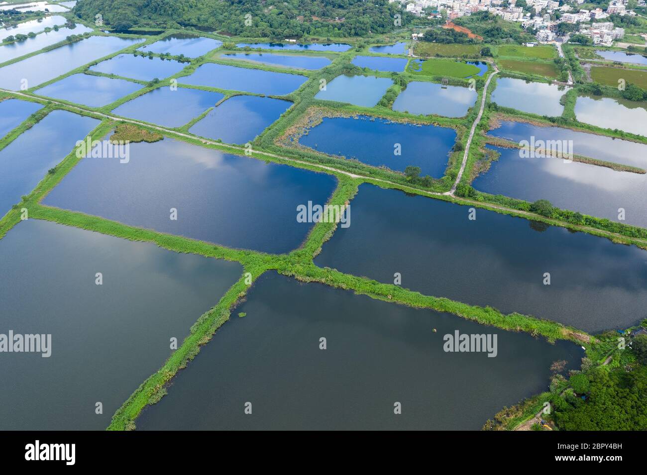 Aerial view Fish hatchery pond Stock Photo - Alamy