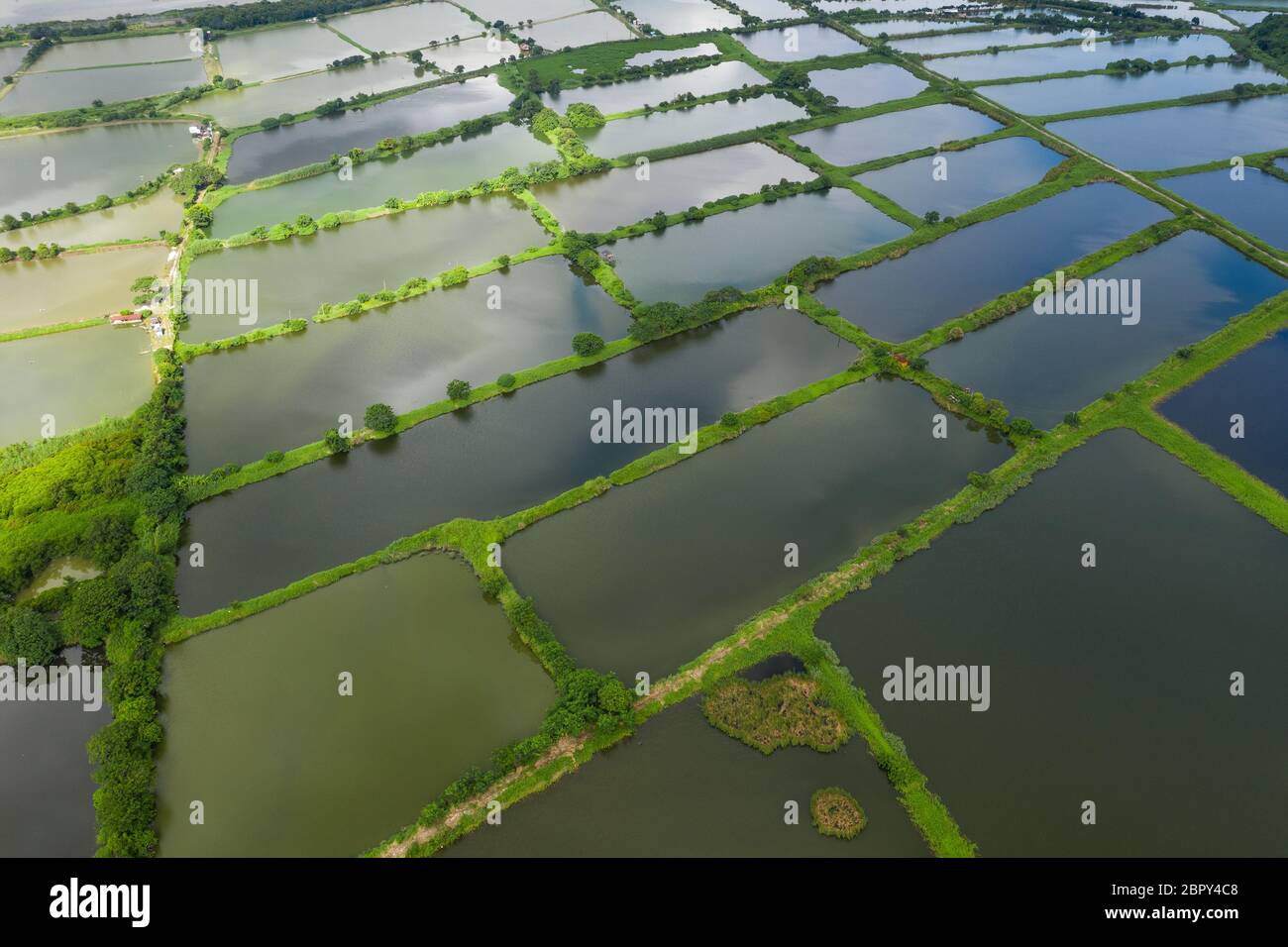 Fish farm pond hong kong hi-res stock photography and images - Alamy