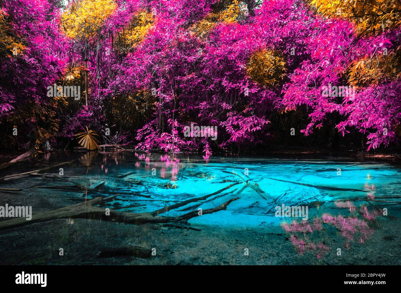 Sra morakot crystal pool blue hi-res stock photography and images - Alamy
