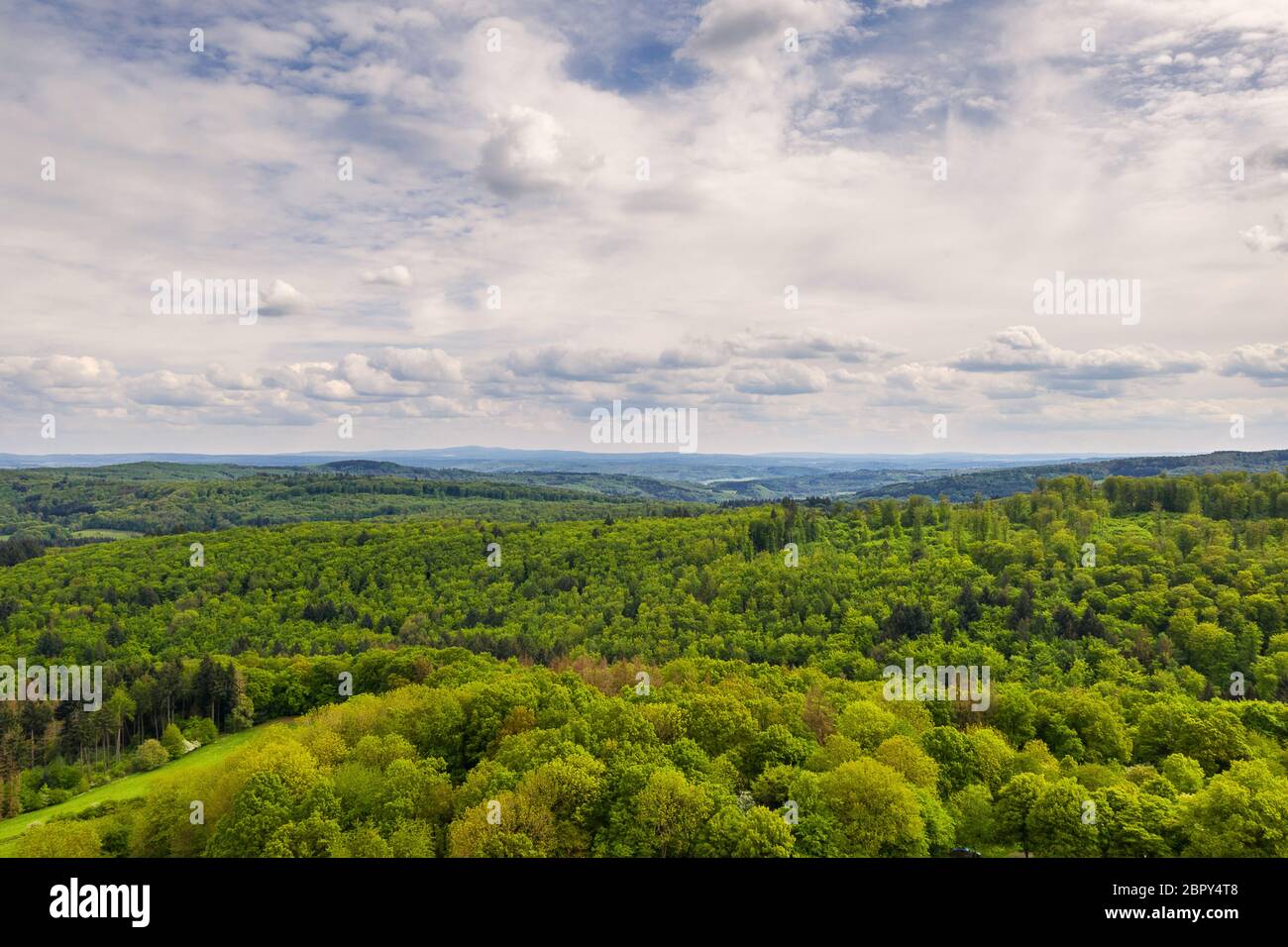 lush green forest landscape from above Stock Photo - Alamy