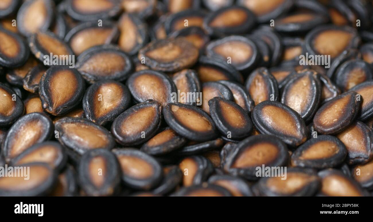 Black watermelon seed Stock Photo - Alamy