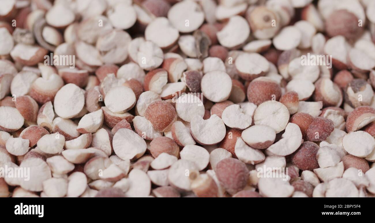 Chinese Gordon euryale seed Stock Photo - Alamy