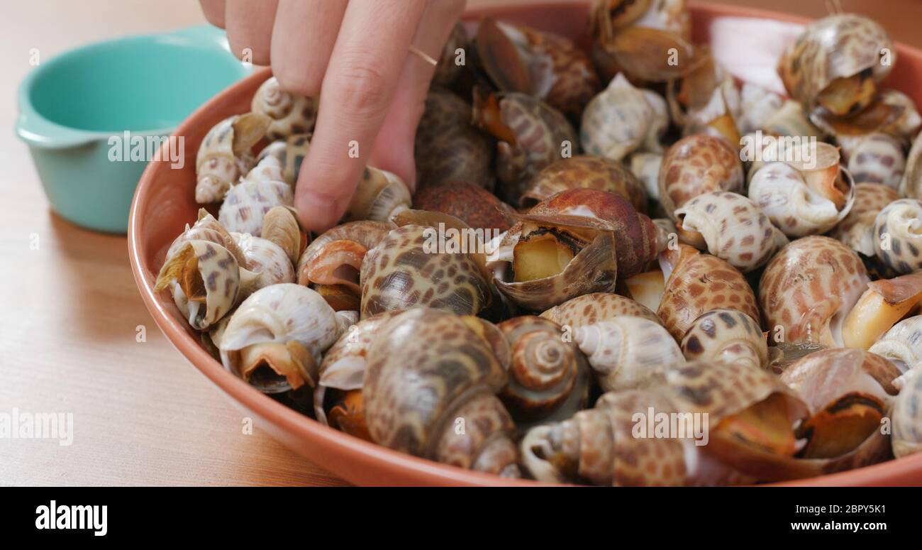 Steamed snail dish Stock Photo - Alamy