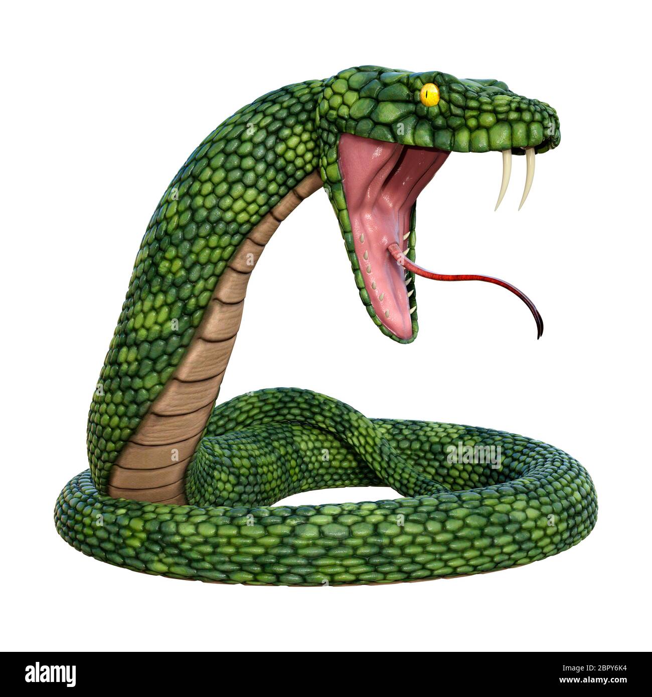 3D rendering of a green giant fantasy snake isolated on white ...