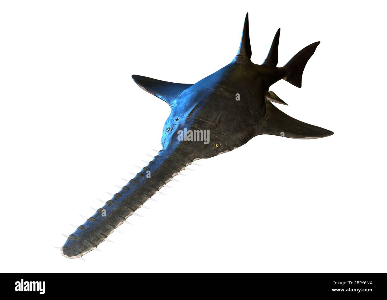 3D rendering of an Onchopristis, a genus of extinct giant ...