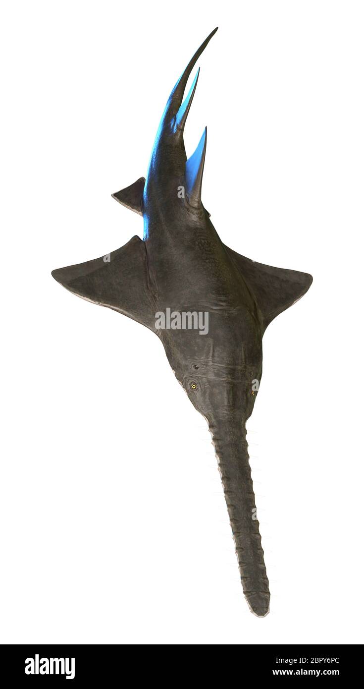 3D rendering of an Onchopristis, a genus of extinct giant ...