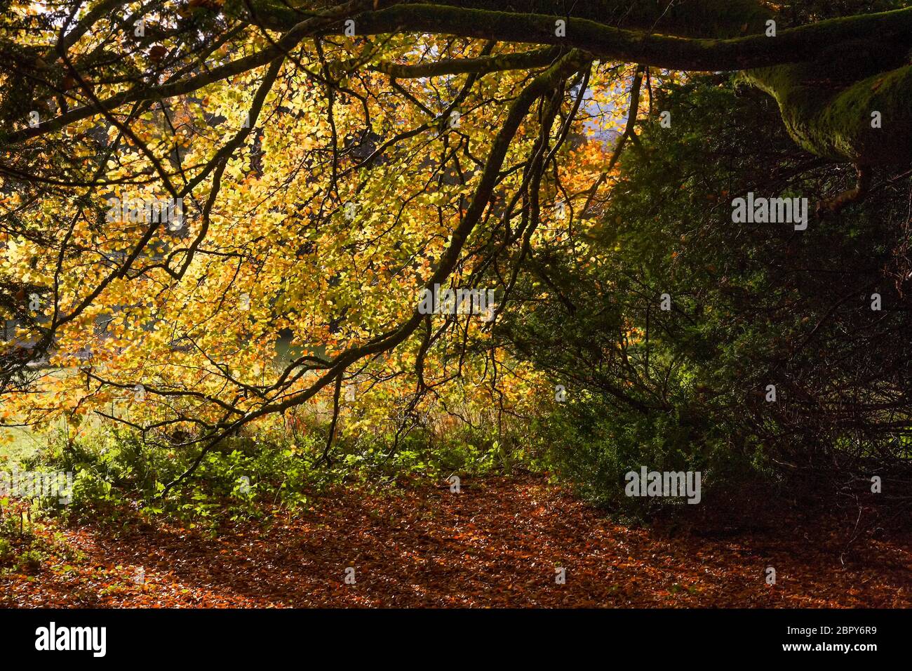 Estate borders hi-res stock photography and images - Alamy