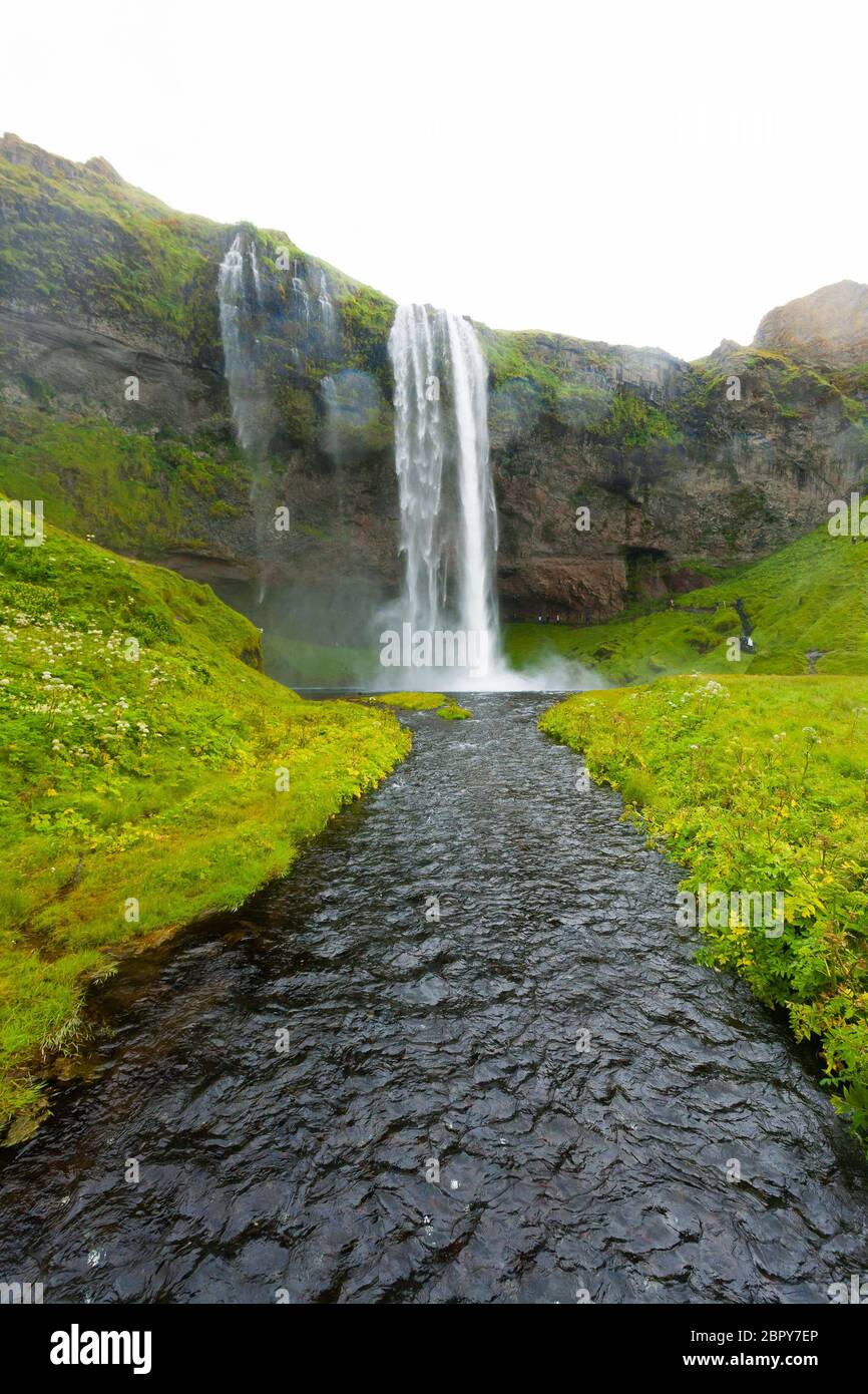 Seljalandsfoss falls in summer season view, Iceland. Icelandic ...