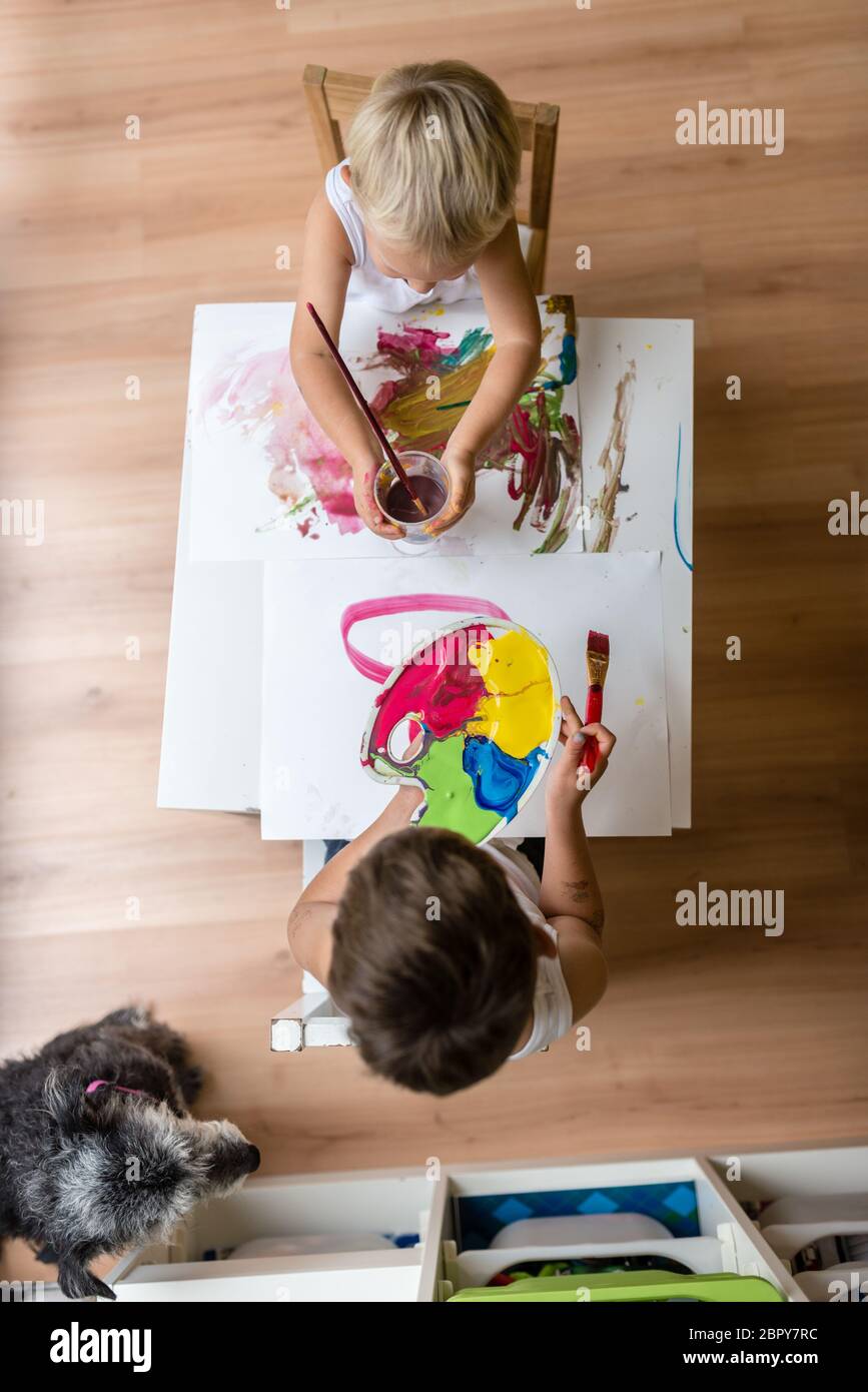 Two dog palette hi-res stock photography and images - Alamy