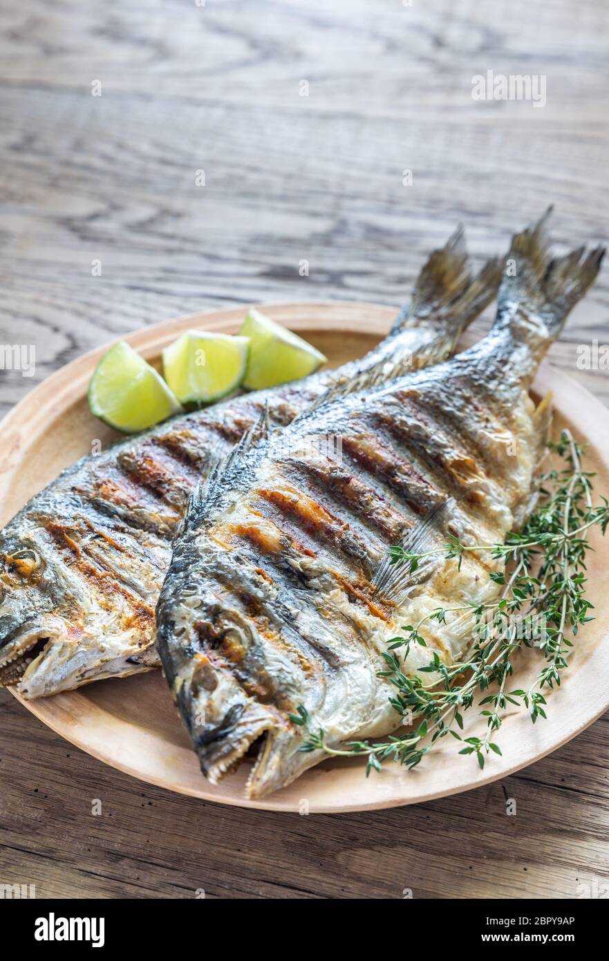 Dorade Royale Fish Stock Photo - Alamy