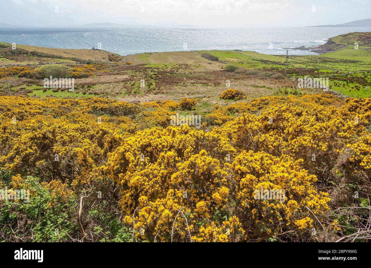 coastal scenery in Connemara, a region in ireland Stock Photo - Alamy