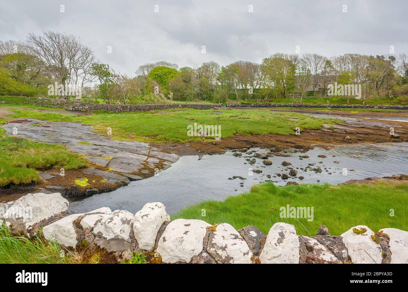 Connemara wetland hi-res stock photography and images - Alamy