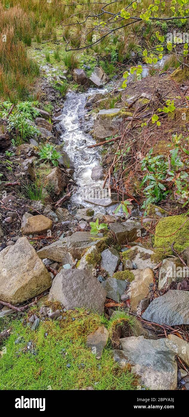 small rivulet in Connemara, a area in Ireland Stock Photo - Alamy