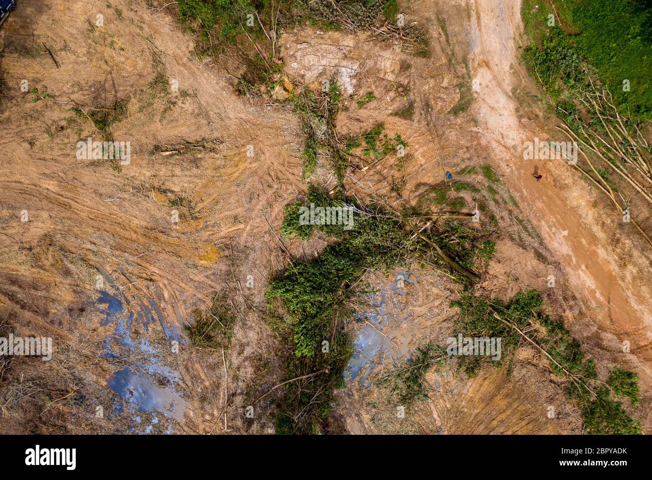 Aerial view of logging and deforestation of a tropical rainforest in ...