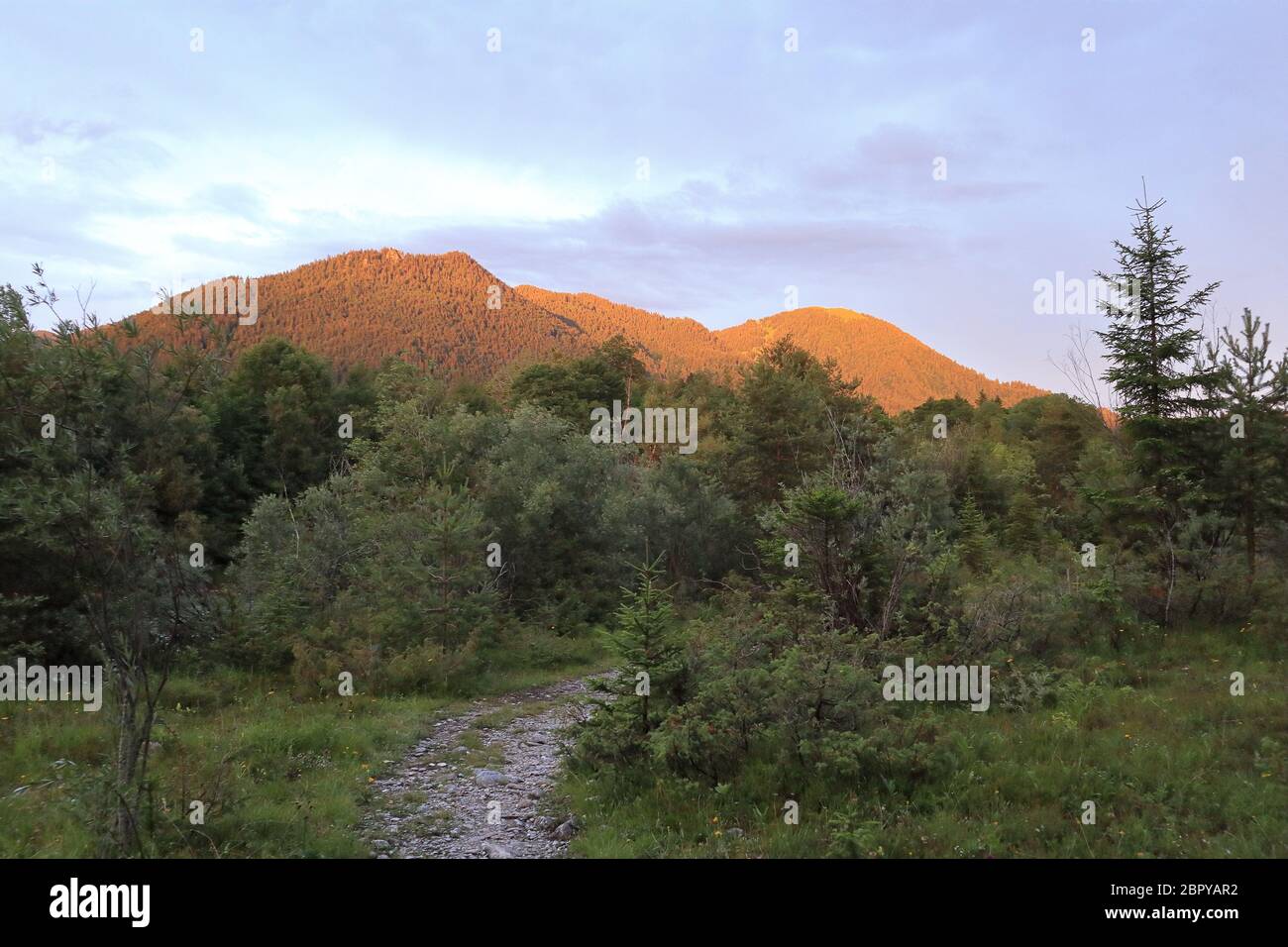 little path in natural landscpe at sundown Stock Photo - Alamy