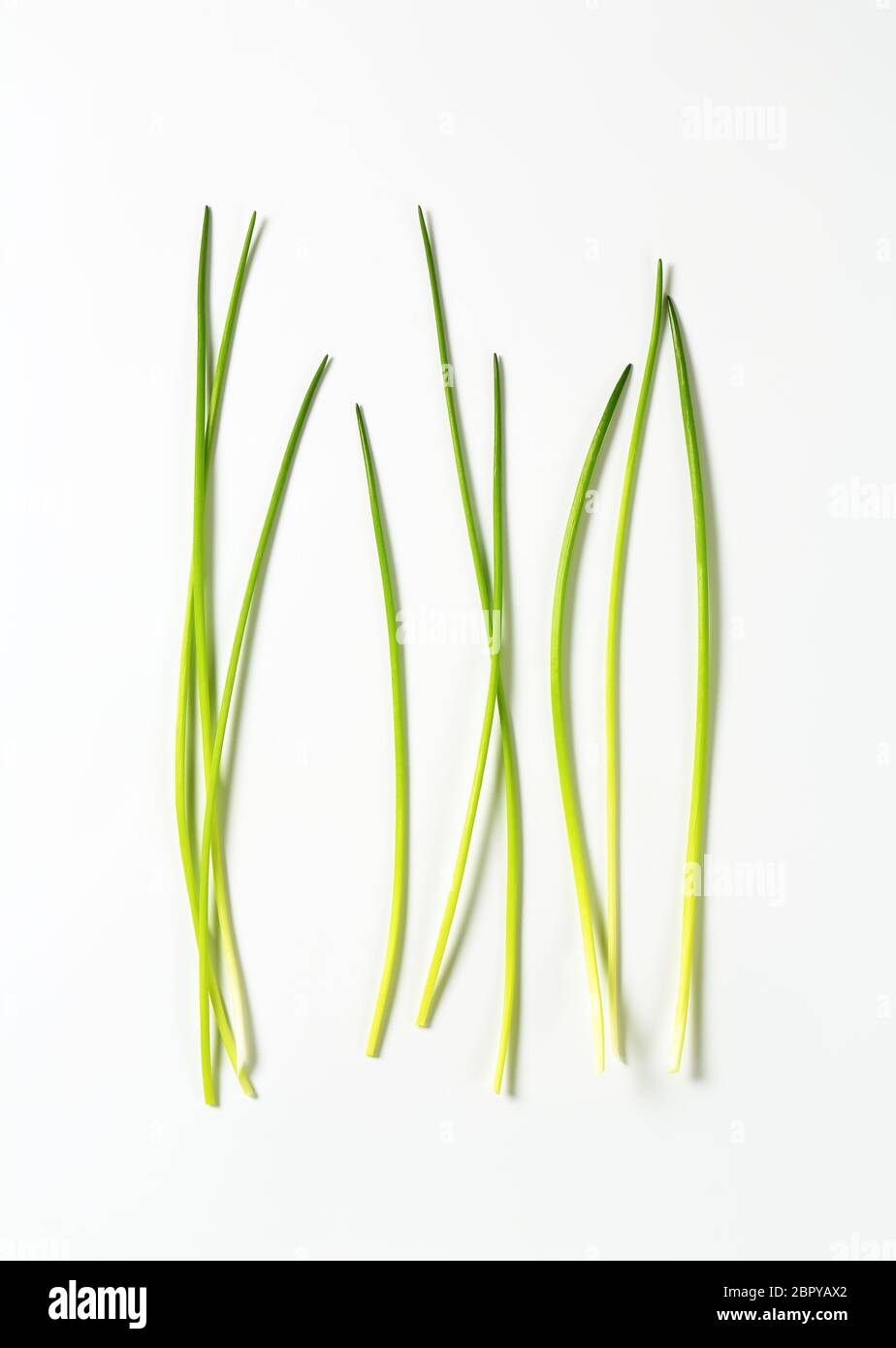 Fresh chives leaves on white background Stock Photo - Alamy