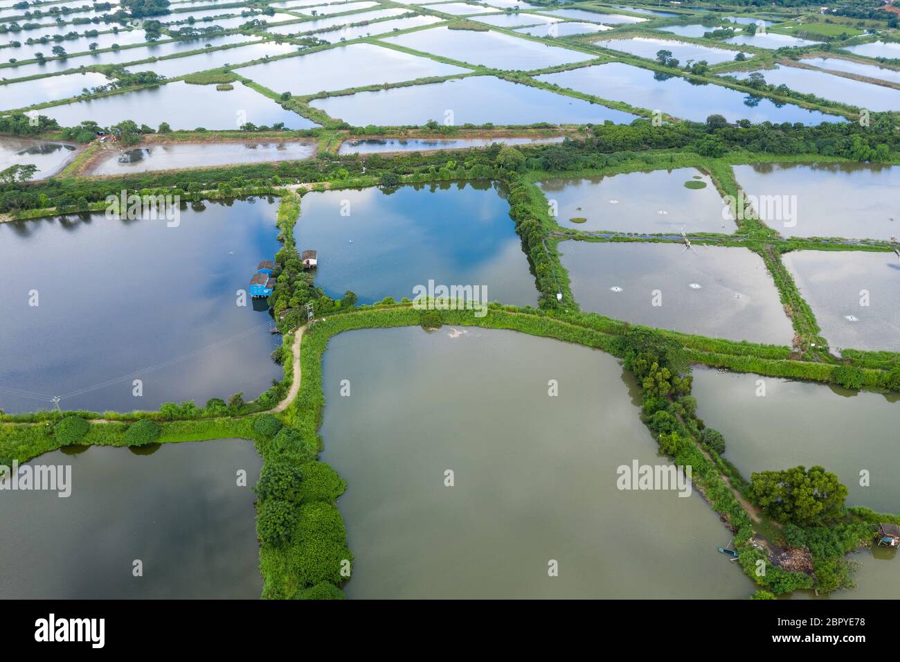 Aerial fly over fish farm hi-res stock photography and images - Alamy