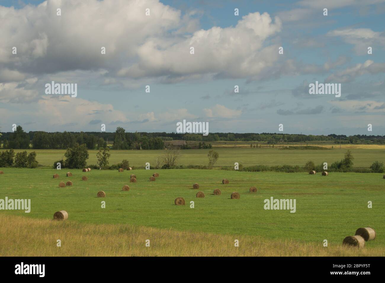 Country landscape with haystacks on the field background Stock Photo ...
