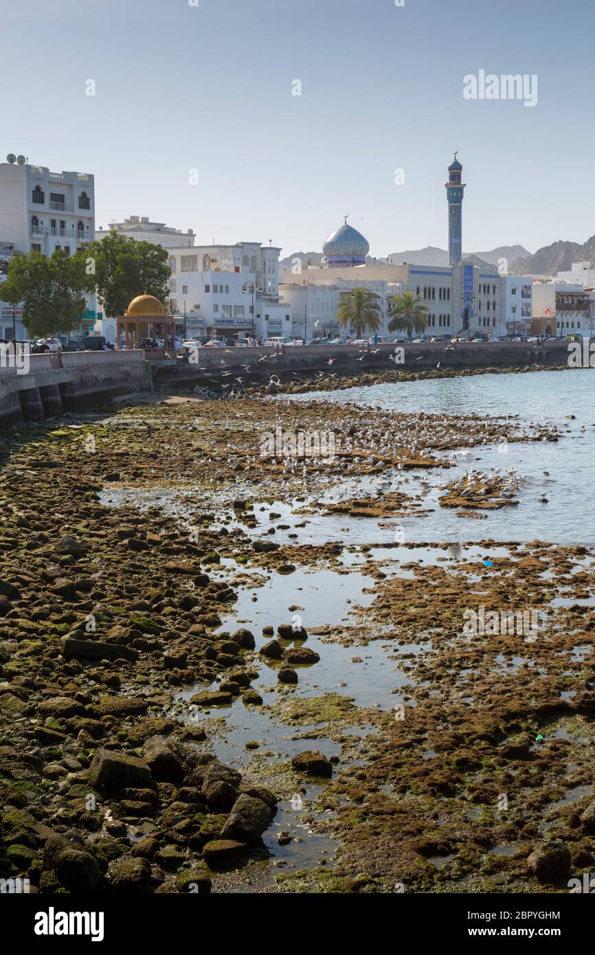View of the Al Rasool Al Adham Mosque and Corniche at Muttrah, Muscat ...