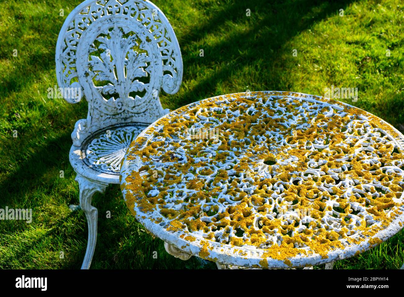 Moss chair hi-res stock photography and images - Alamy