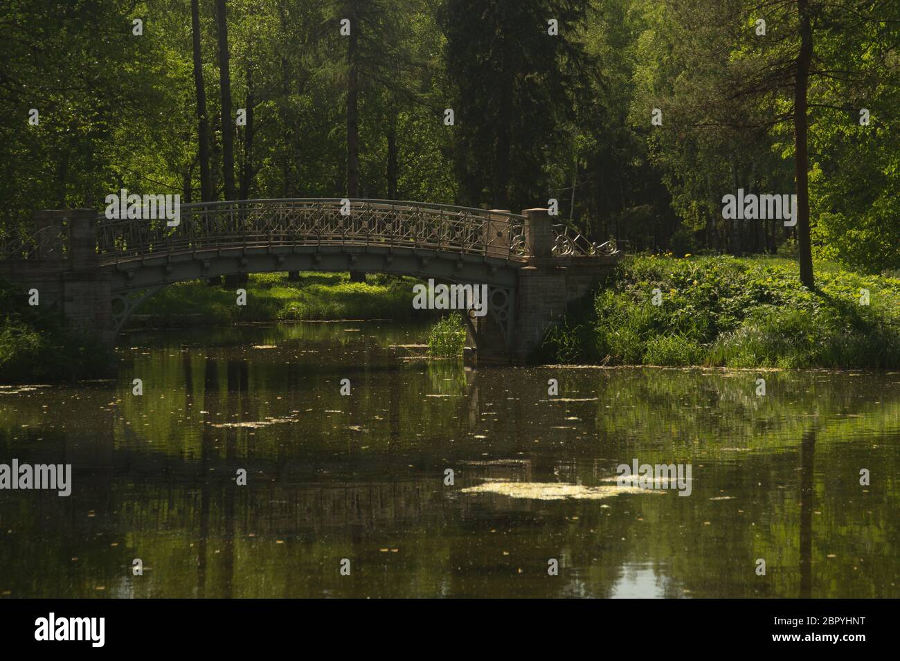 Bridge in the forest. Nature landscape Stock Photo - Alamy