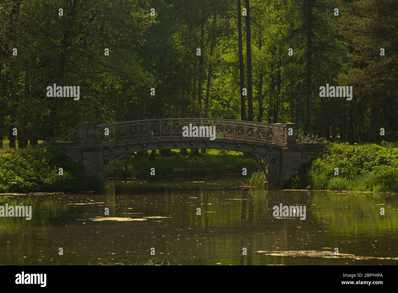 Bridge in the forest. Nature landscape Stock Photo - Alamy
