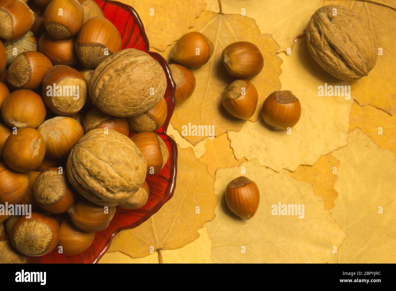 Hazelnuts and walnuts with autumn leaves background Stock Photo - Alamy