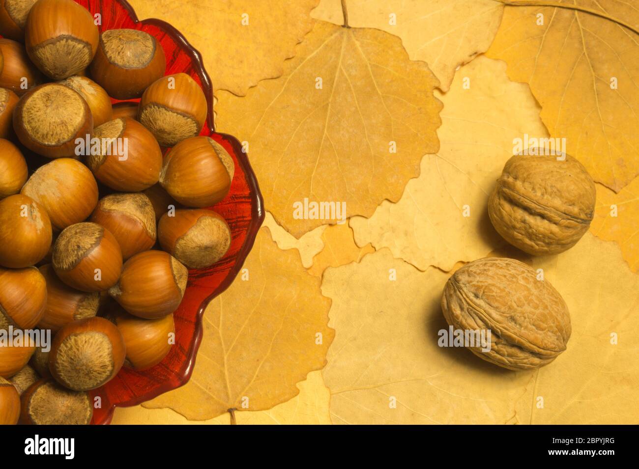 Hazelnuts and walnuts with autumn leaves background Stock Photo - Alamy