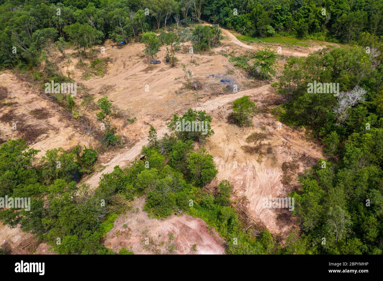 Rainforest deforestation aerial view hi-res stock photography and ...