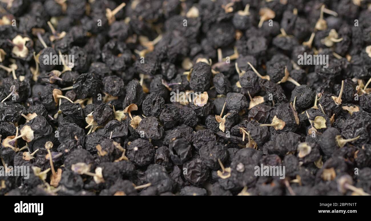 Dry Lycium ruthenicum Stock Photo - Alamy