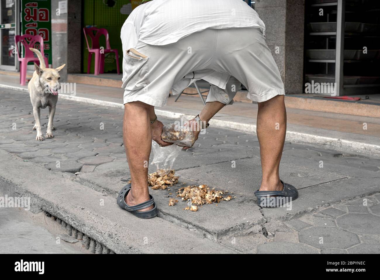 Dog man feeding stray hi-res stock photography and images - Alamy