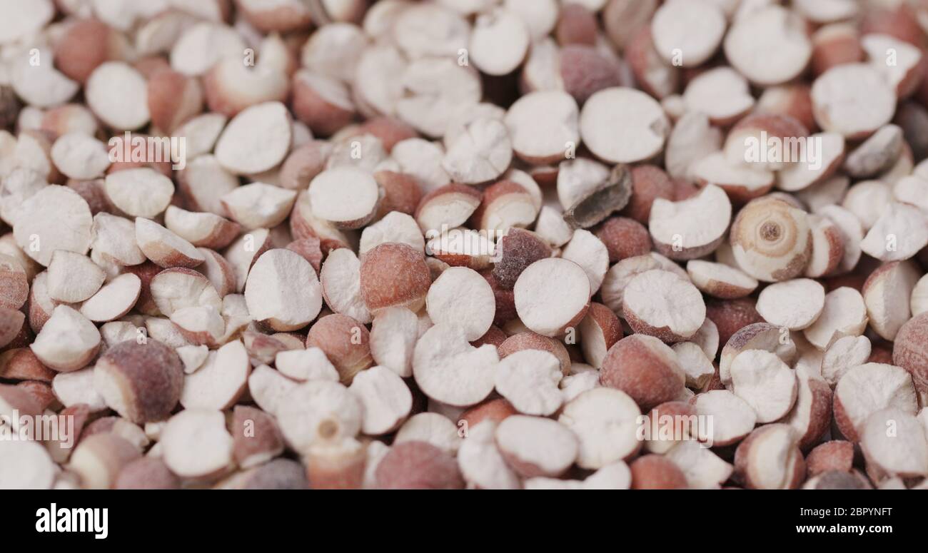 Chinese Gordon euryale seed Stock Photo - Alamy