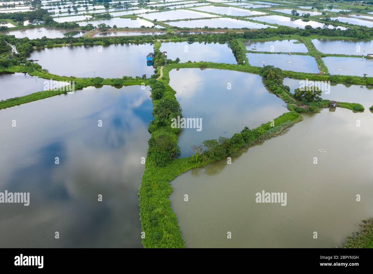 Top view Fish hatchery pond in Hong Kong Stock Photo - Alamy